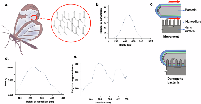 Multiphysics machine learning framework for on-demand multi-functional ...