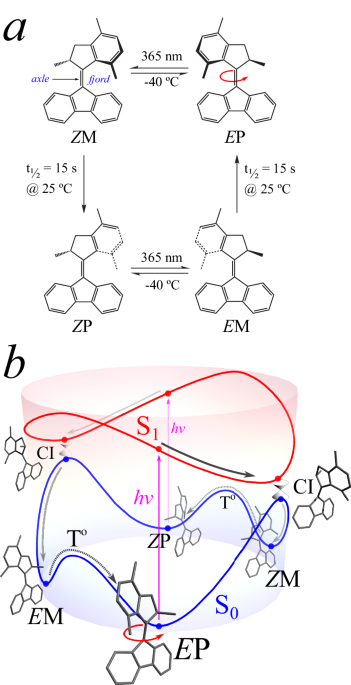 Impact of solvation on the photoisomerisation dynamics of a photon-only ...