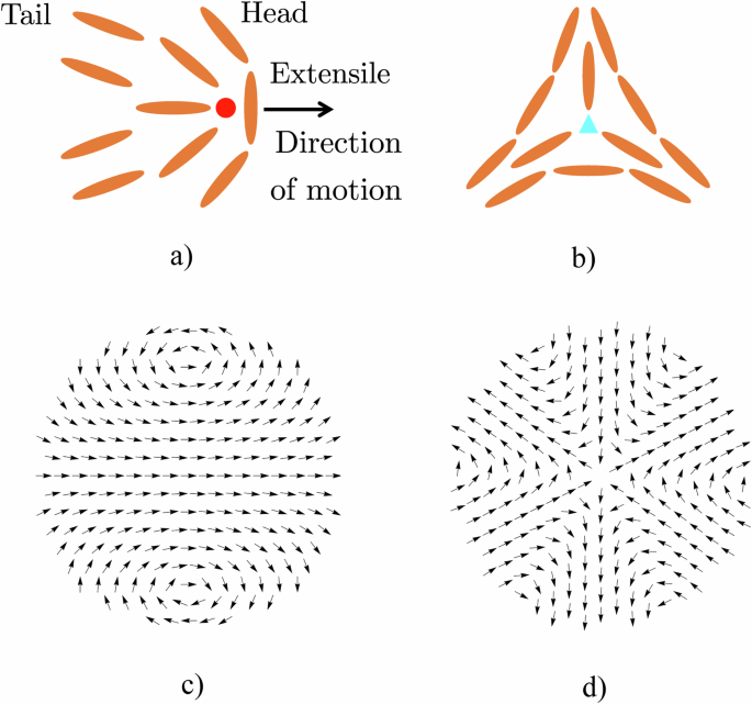 Transport of topological defects in a biphasic mixture of active and ...