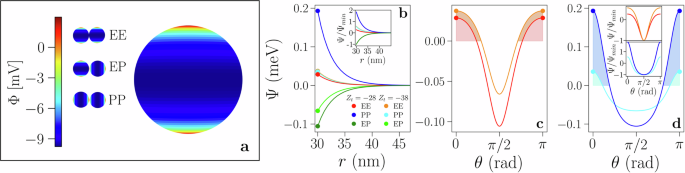 Liquid-liquid phase separation driven by charge heterogeneity ...