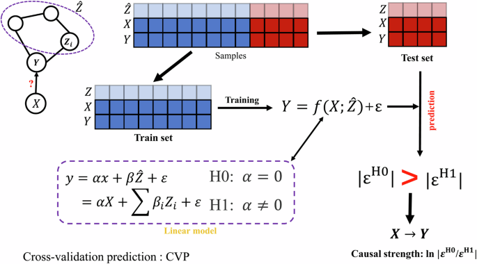 Causal network inference based on cross-validation predictability | Communications Physics