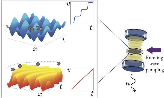 Dissipation-induced non-equilibrium phases with temporal and spatial ...