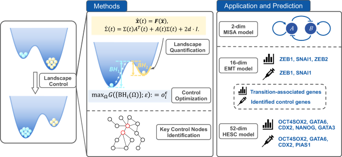Landscape control for cell fate transitions | Communications Physics