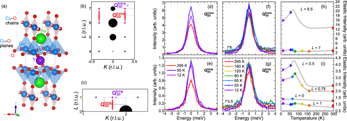 Hybridization of lattice and charge order excitations in a ...