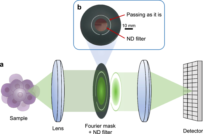 Generalized reciprocal diffractive imaging for reference-free, single-shot quantitative phase ...
