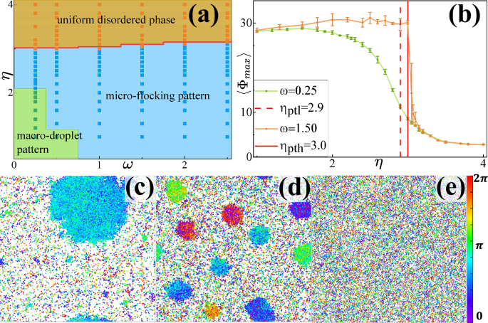Uncovering the underlying mechanisms of phase transitions in chiral ...