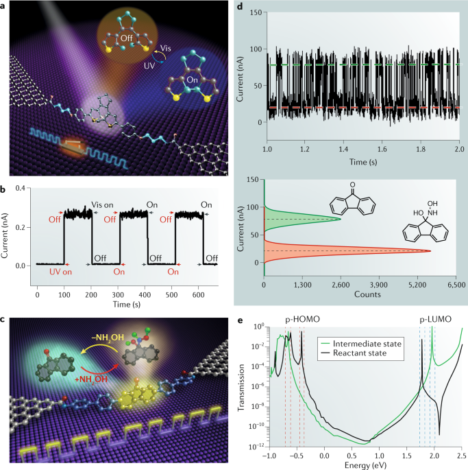 Concepts in the design and engineering of single-molecule electronic ...