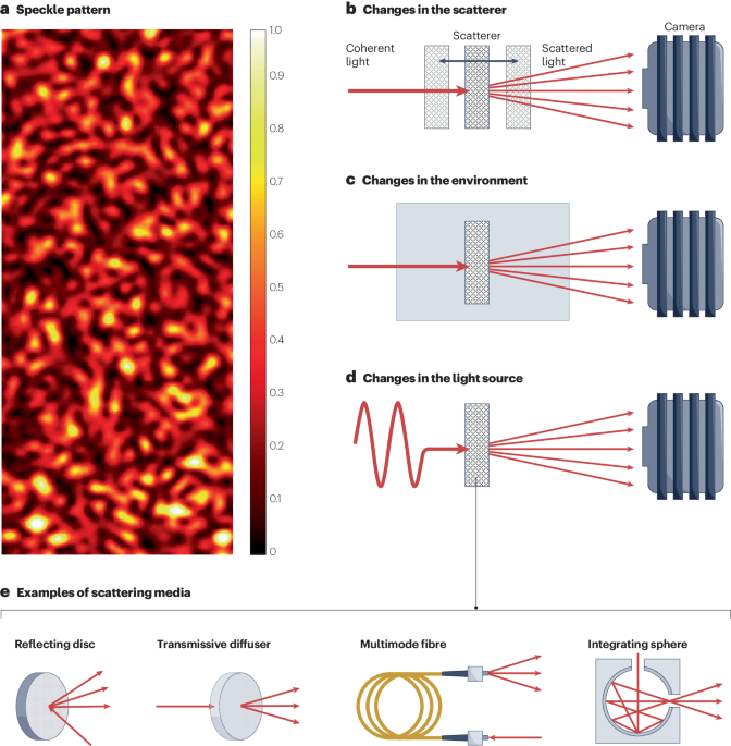 Determining intrinsic sensitivity and the role of multiple scattering ...