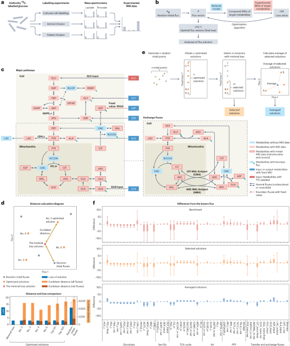 Quantitation of metabolic activity from isotope tracing data using automated methodology ...