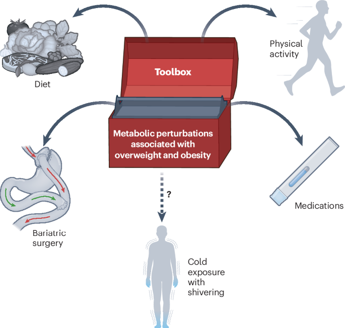 Cold-induced shivering for metabolic health | Nature Metabolism