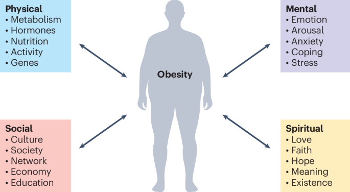 Holistic approaches to explain and combat obesity | Nature Metabolism