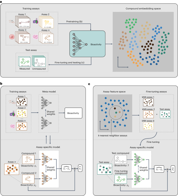A bioactivity foundation model using pairwise meta-learning | Nature Machine Intelligence