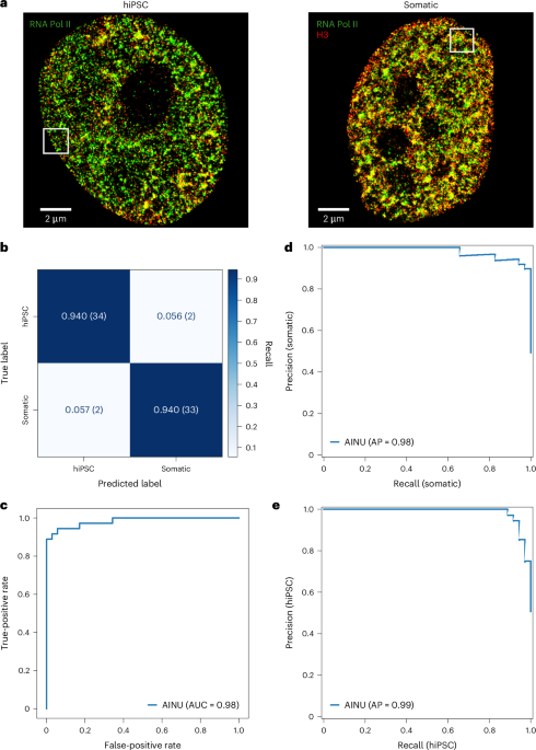 A deep learning method that identifies cellular heterogeneity using ...