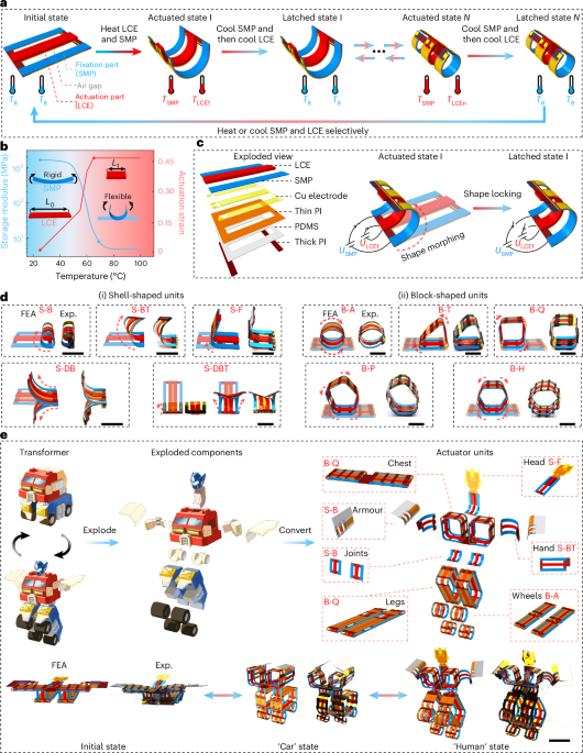 Transforming machines capable of continuous 3D shape morphing and ...