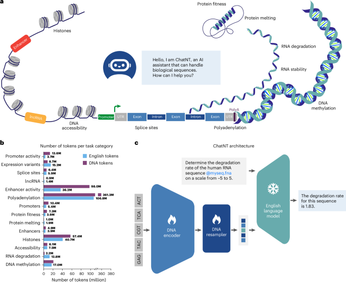 A multimodal conversational agent for DNA, RNA and protein tasks ...