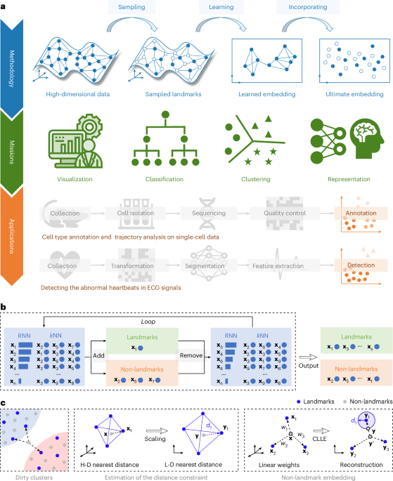 Sampling-enabled scalable manifold learning unveils the discriminative cluster structure of high ...
