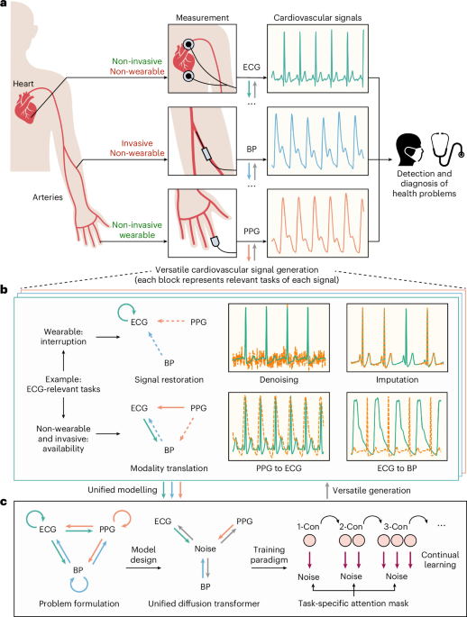 Versatile cardiovascular signal generation with a unified diffusion ...