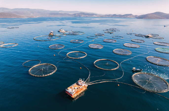 Offshore aquaculture greenhouse gas emissions based on ocean net ...