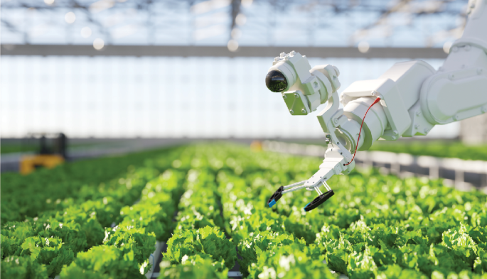Digital innovations for monitoring sustainability in food systems ...