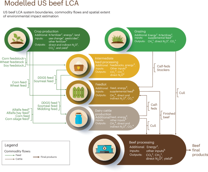 Greenhouse gas emissions in US beef production can be reduced by up to ...