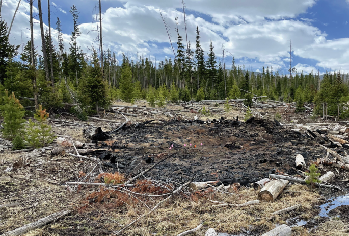 Using pile burns to investigate the impacts of severe wildfires on soil ...