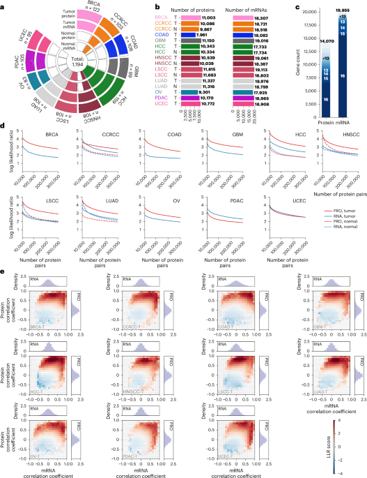 Mapping the functional network of human cancer through machine learning ...