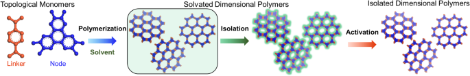 Reproducibility challenges in activating two-dimensional polymers and ...