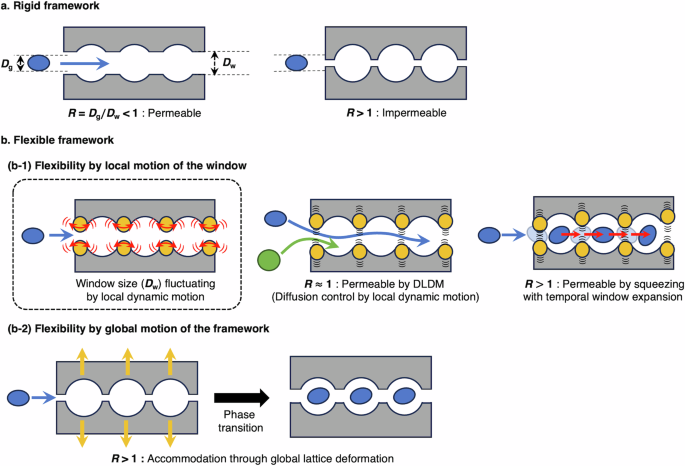 Progressive gas adsorption squeezing through the narrow channel of a ...