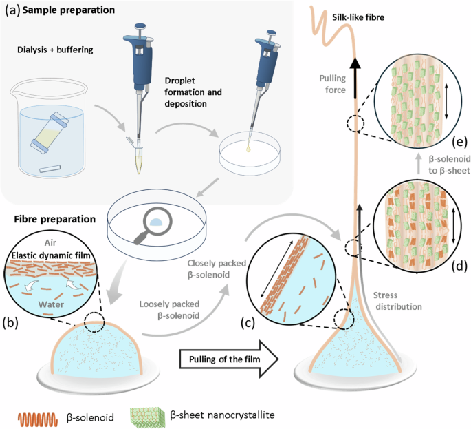 Manipulating the water–air interface to drive protein assembly for ...