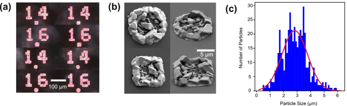 Bottom-up fabrication of 2D Rydberg exciton arrays in cuprous oxide ...