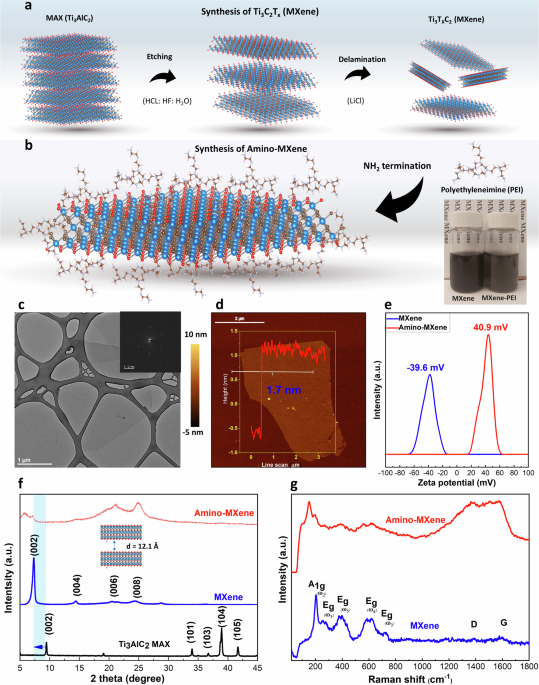 Antibody-functionalized MXene-based electrochemical biosensor for point ...