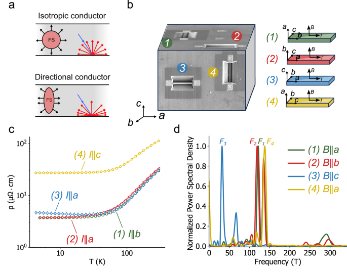 Orientation dependent resistivity scaling in mesoscopic NbP crystals ...