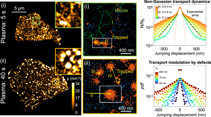 Defect-modulated ionic friction at hBN/water interfaces ...
