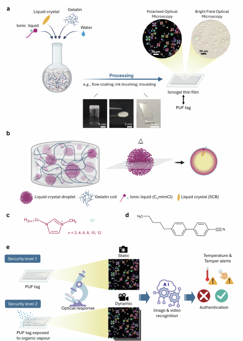 Random and unpredictable optical textures in biobased self-assembled ...