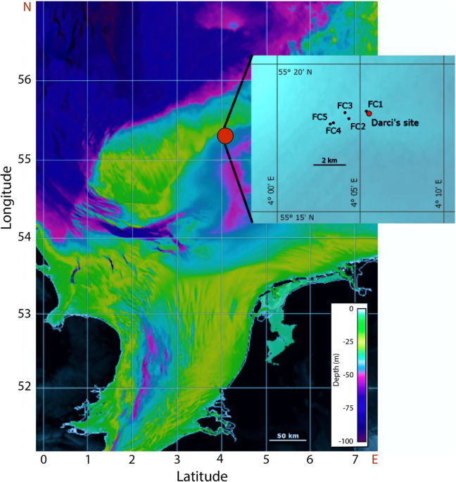 Tidal and seasonal influence on cold seep activity and methanotroph ...