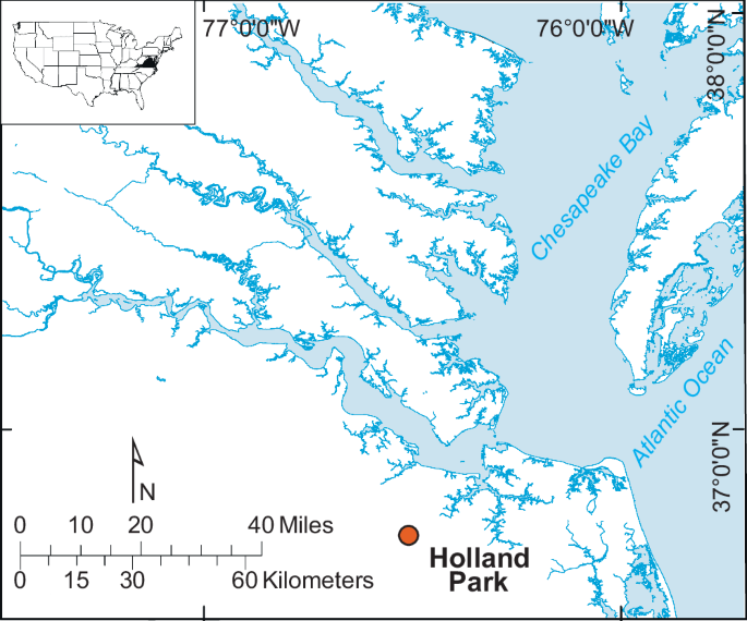 Discovery of giant and conventional magnetofossils bookending ...
