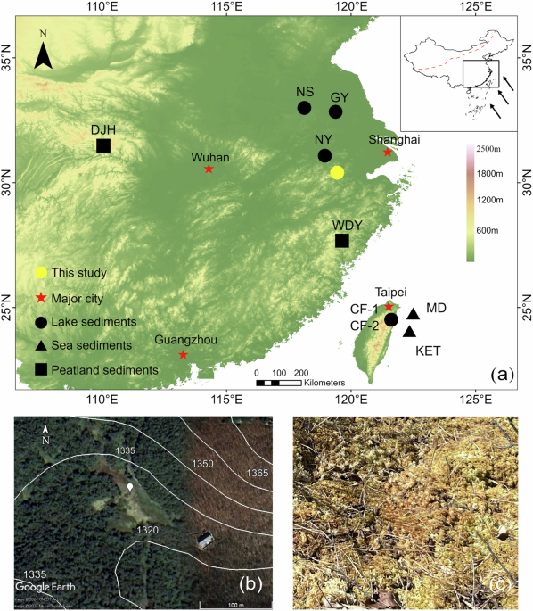A millennium of cold and humid climate decreased carbon accumulation in ...
