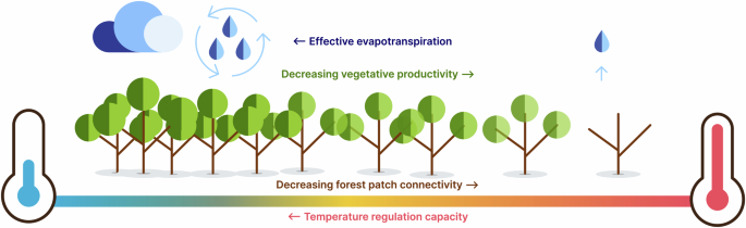 Effectiveness of the world network of biosphere reserves in maintaining ...