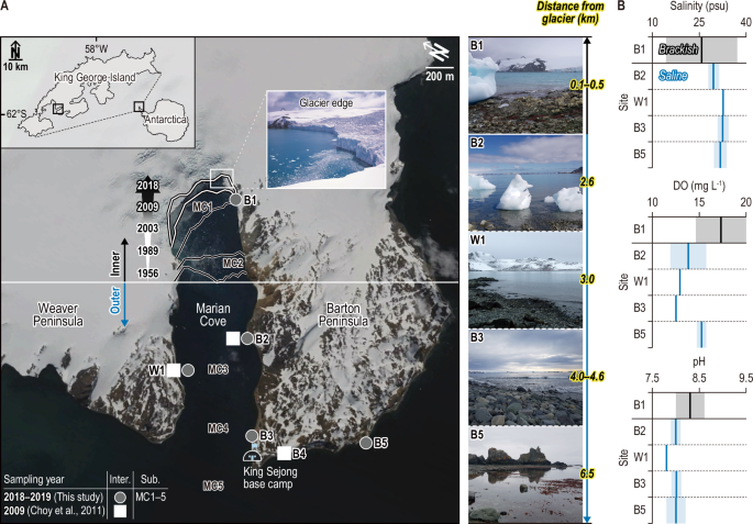 Climate change-driven ice variability and isotopic polarization in ...