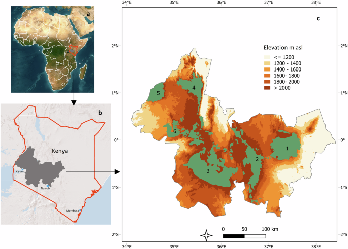 Colonial-era settlements and post-colonial legacies have increased the ...