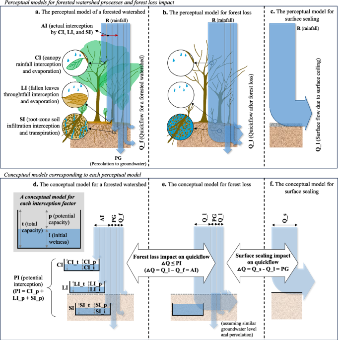 Interception reduction from deforestation and forest fire increases ...