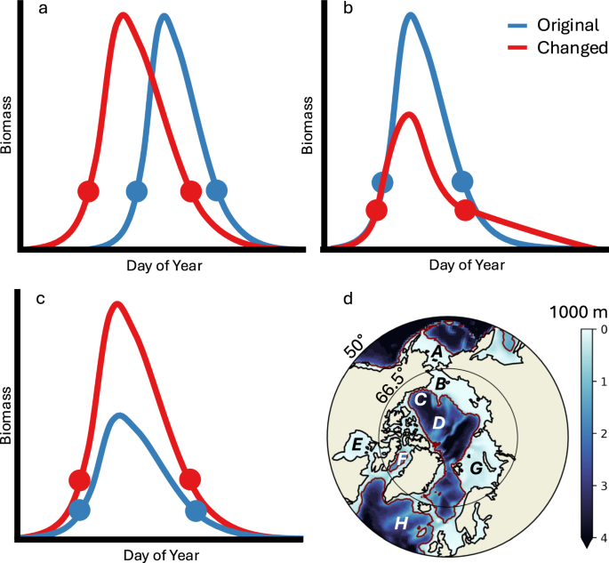 End-of-century Arctic Ocean phytoplankton blooms start a month earlier ...