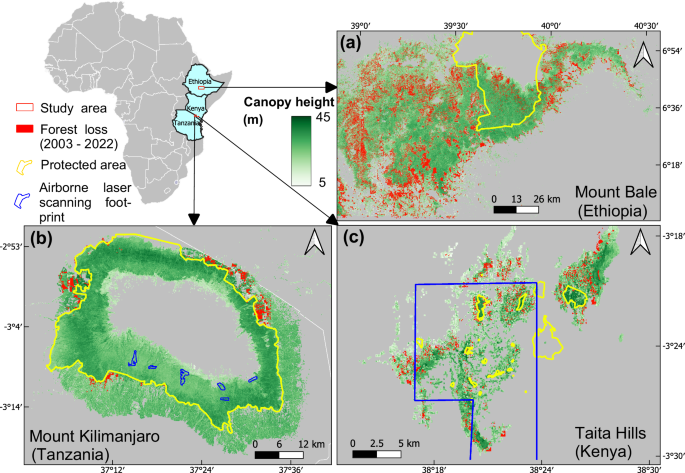 Deforestation reduces microclimate buffering of African montane forests ...