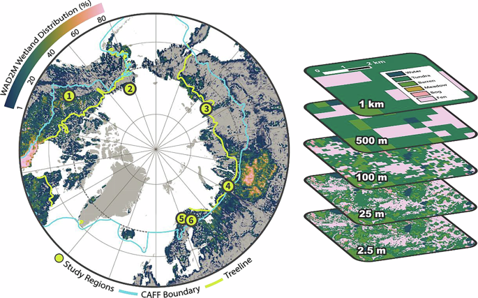 Coarse land cover datasets bias Arctic-Boreal wetland methane budgets ...