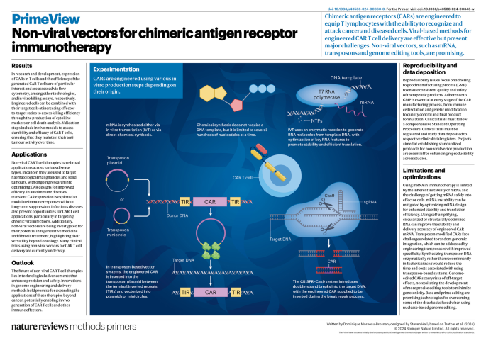 Non-viral vectors for chimeric antigen receptor immunotherapy | Nature ...