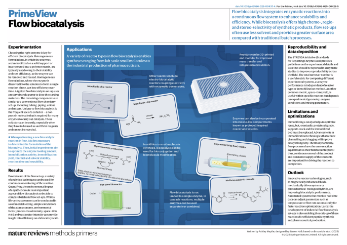 Flow biocatalysis | Nature Reviews Methods Primers