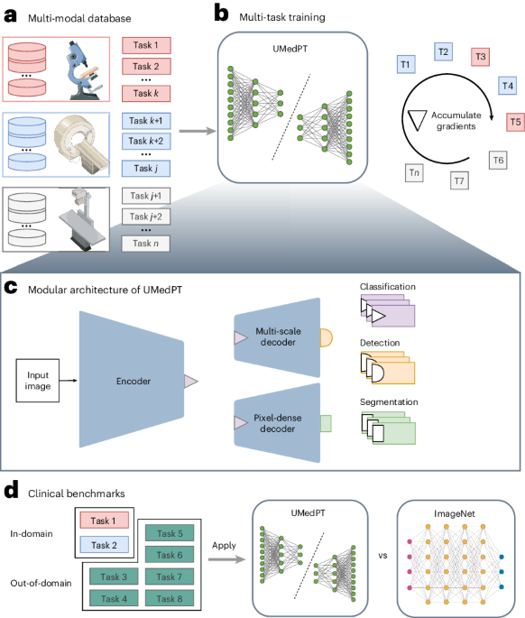 A multi-task learning strategy to pretrain models for medical image analysis | Nature ...