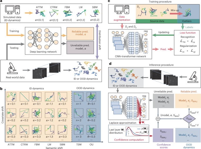 Reliable deep learning in anomalous diffusion against out-of ...