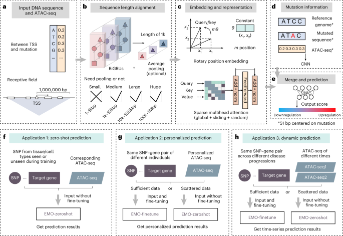 Predicting the regulatory impacts of noncoding variants on gene expression through epigenomic ...