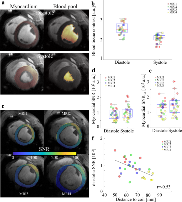 Precision imaging of cardiac function and scar size in acute and ...